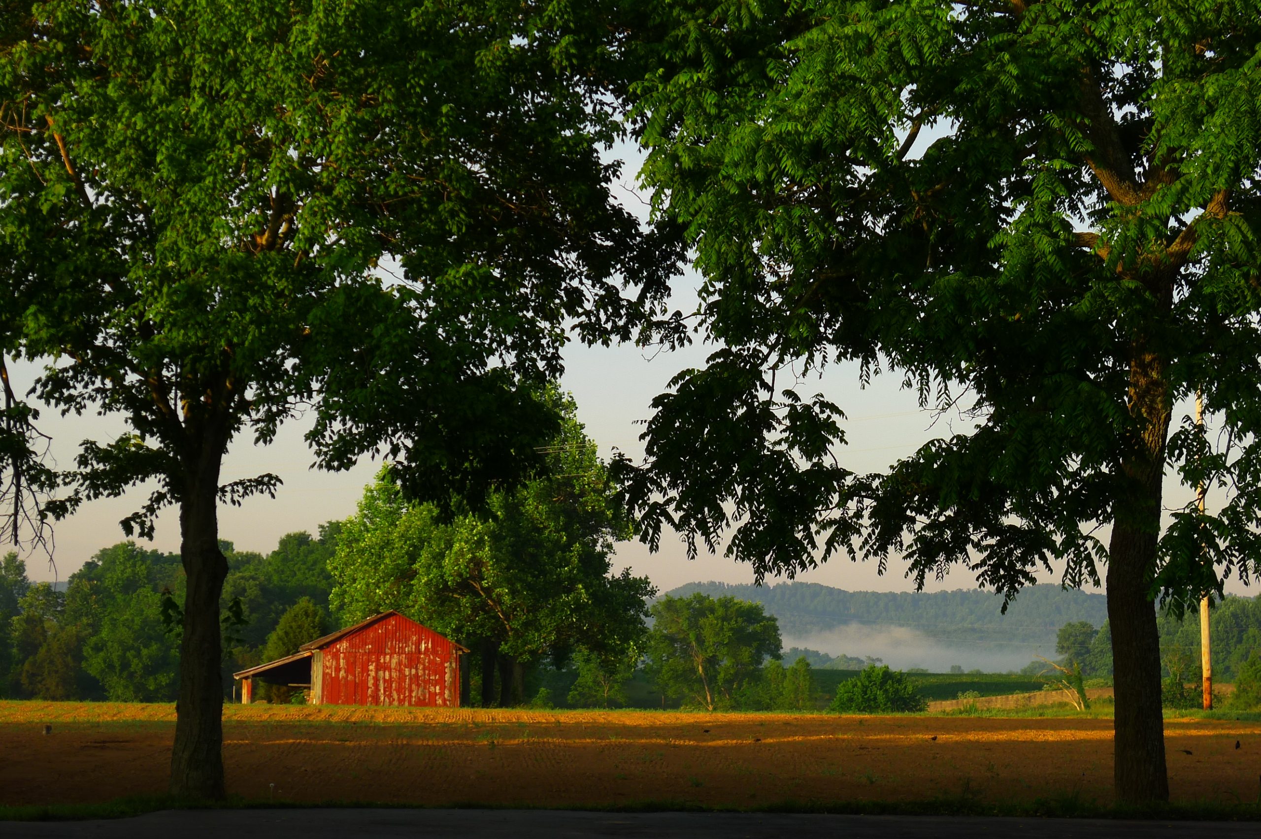 Gethsemani – Abbey of Gethsemani